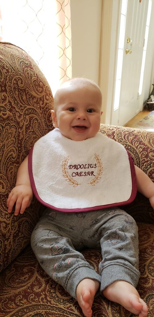 Droolius Caesar | The Lady Beekeeper