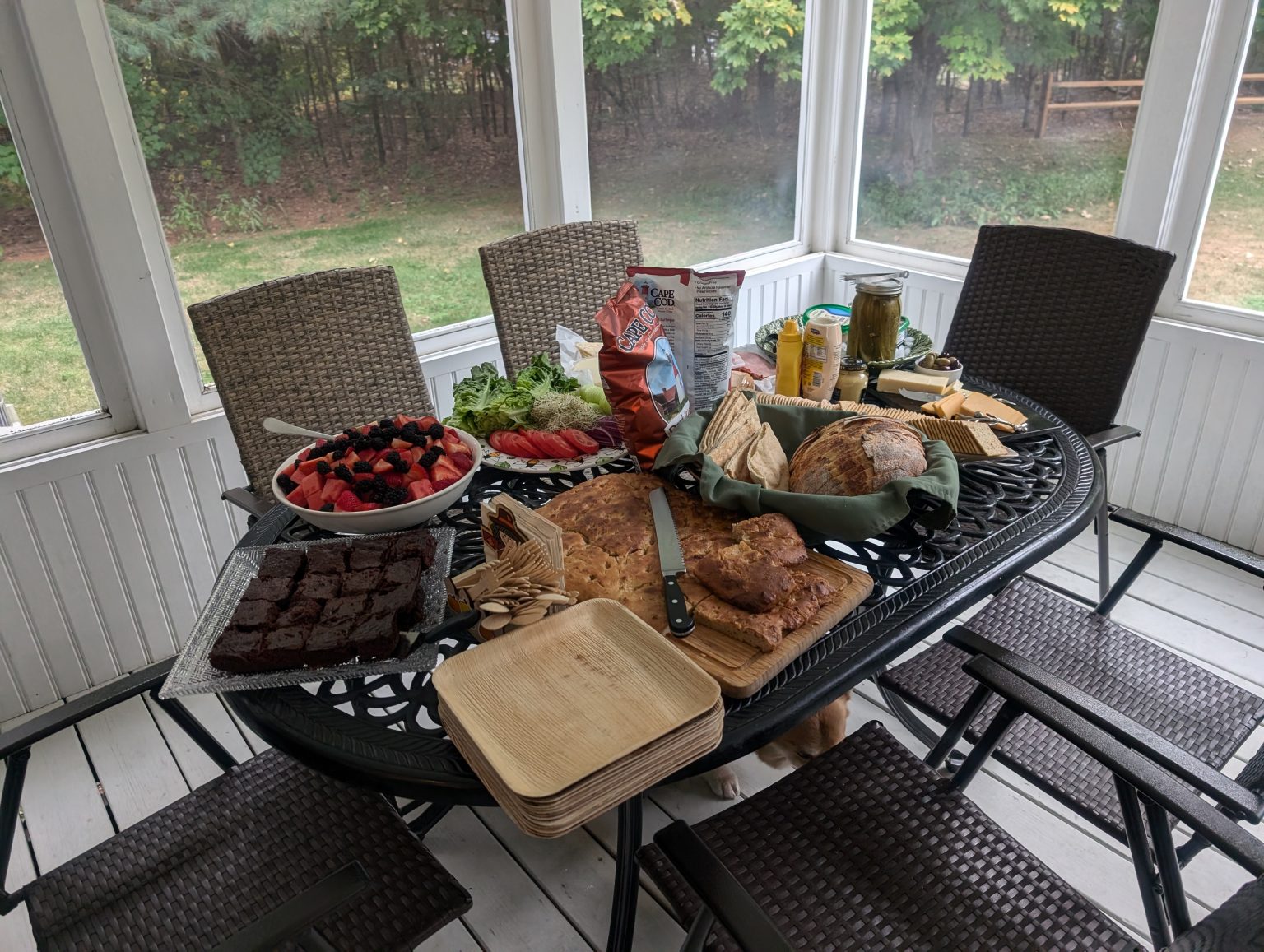 The Lady Beekeeper | A refined beekeeping experiment