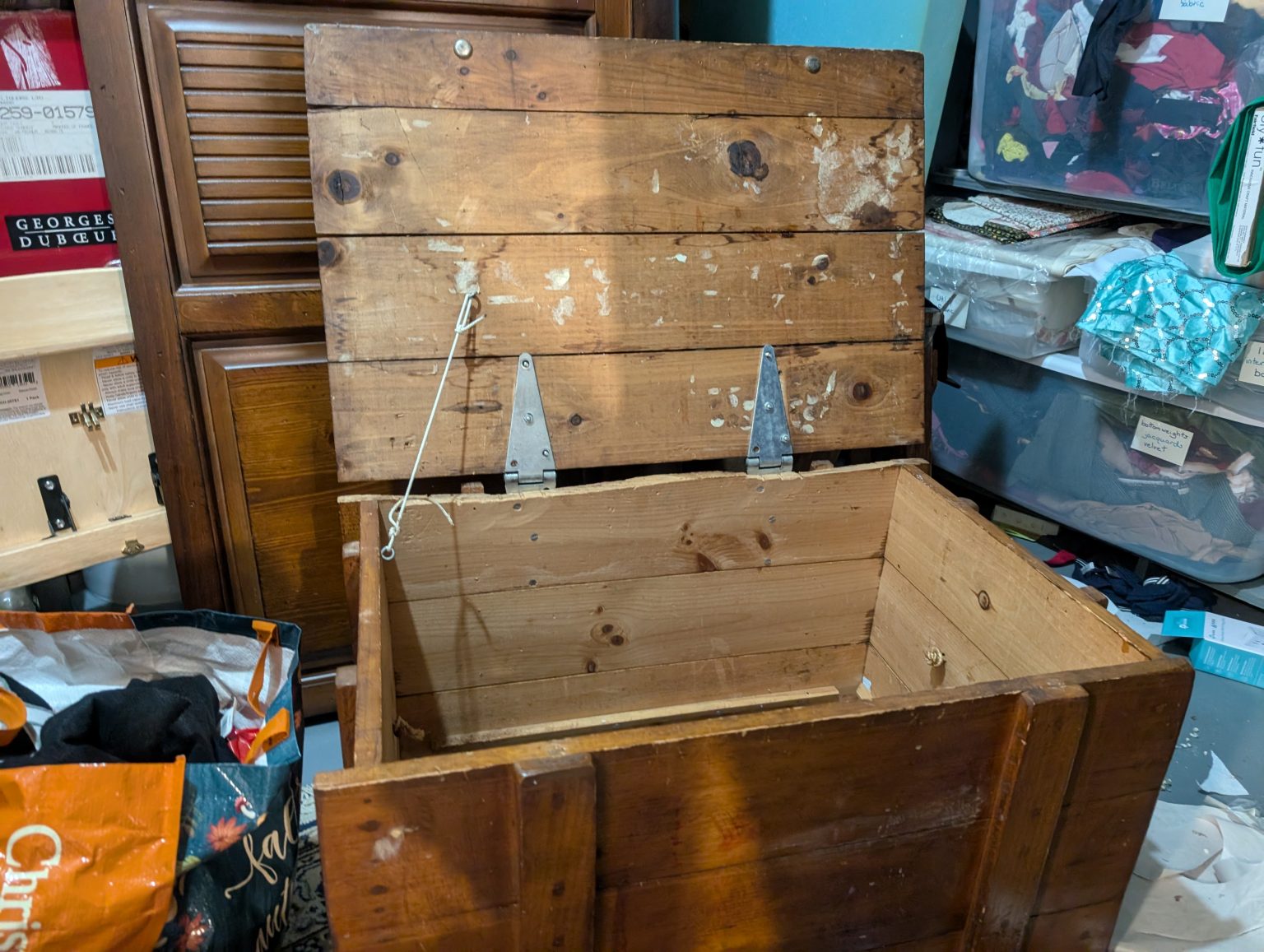 The Lady Beekeeper | A refined beekeeping experiment