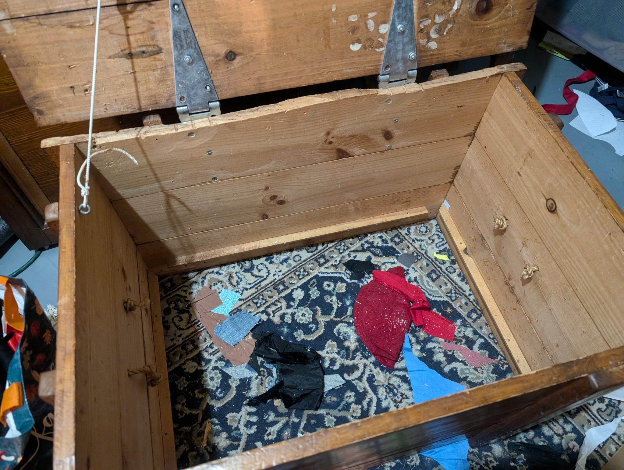 The Lady Beekeeper | A refined beekeeping experiment