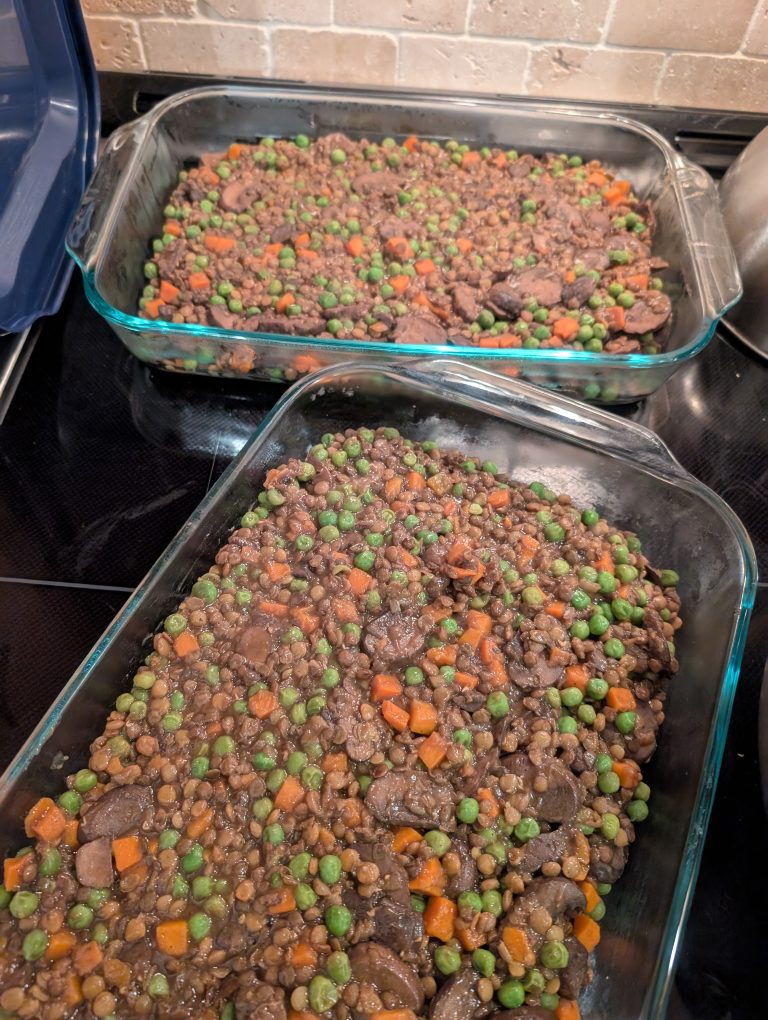 The Lady Beekeeper | A refined beekeeping experiment