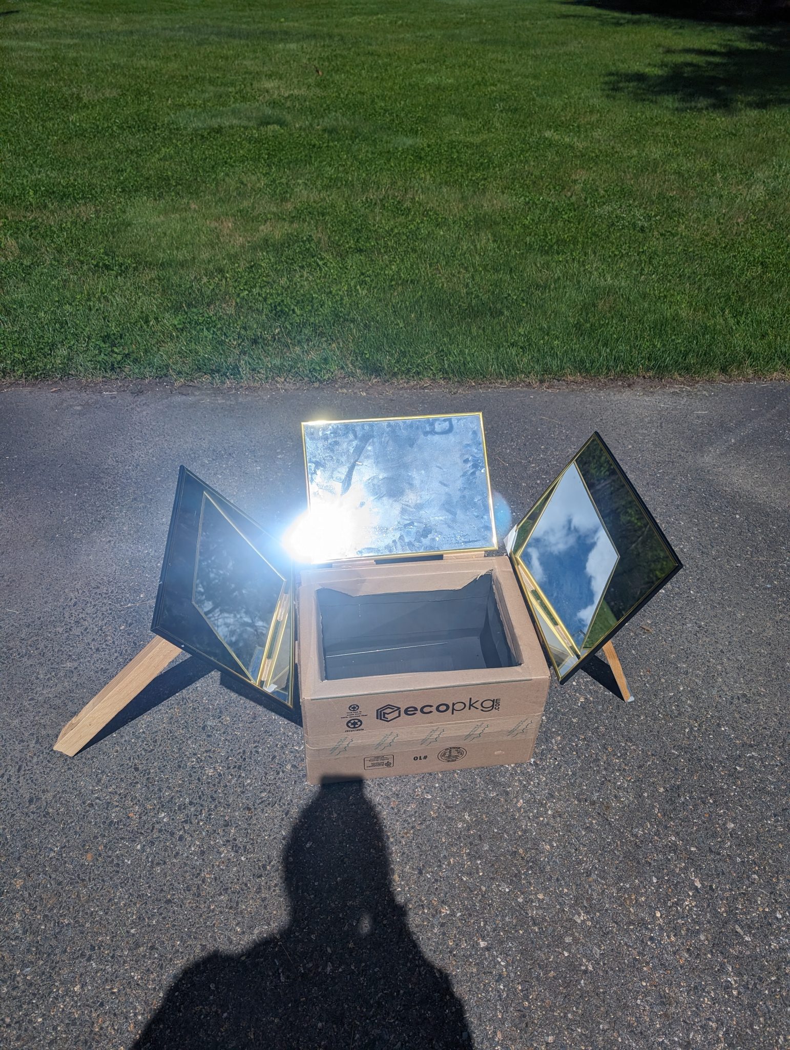 The Lady Beekeeper | A refined beekeeping experiment