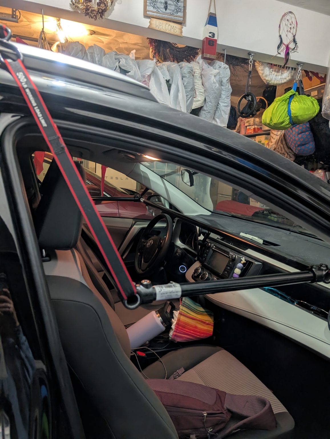 The Lady Beekeeper | A refined beekeeping experiment