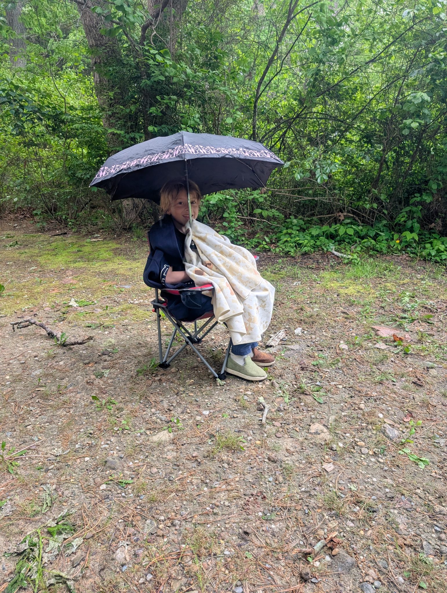 The Lady Beekeeper | A refined beekeeping experiment