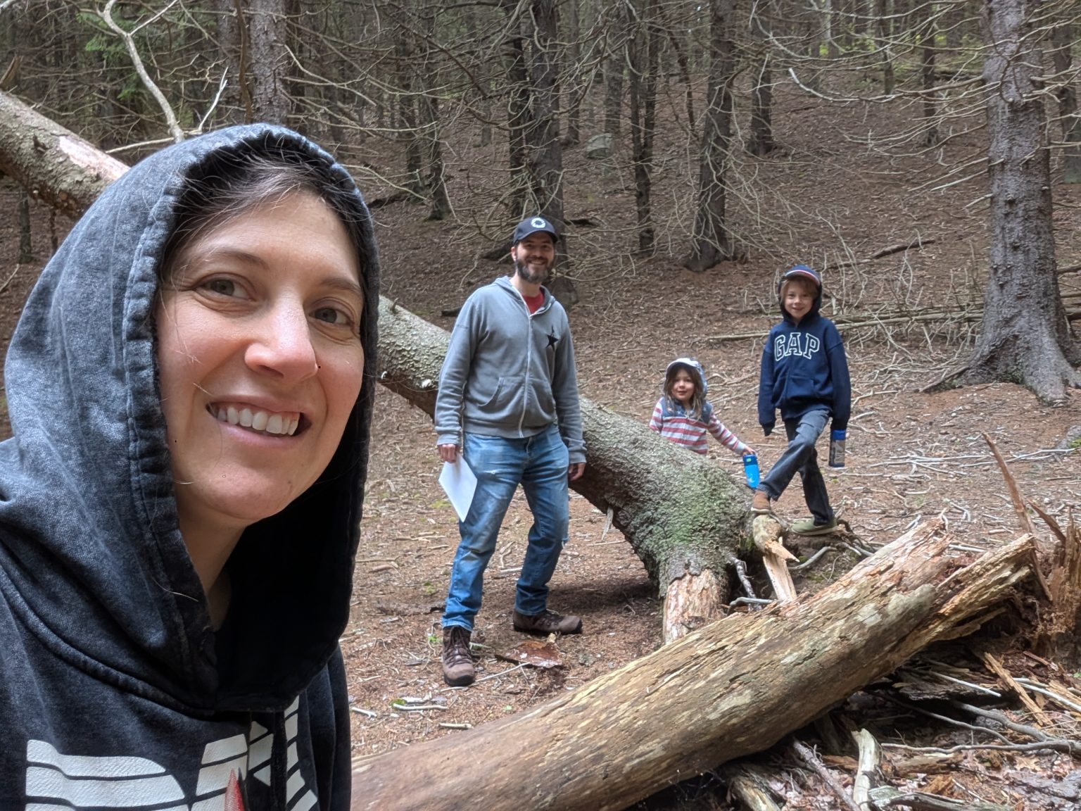 The Lady Beekeeper | A refined beekeeping experiment