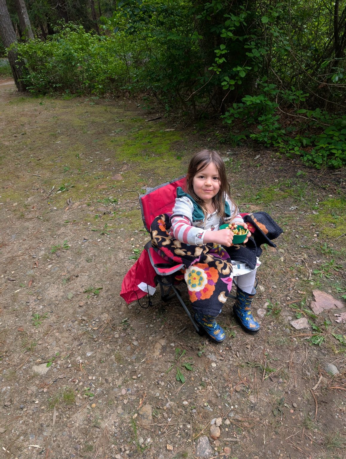 The Lady Beekeeper | A refined beekeeping experiment