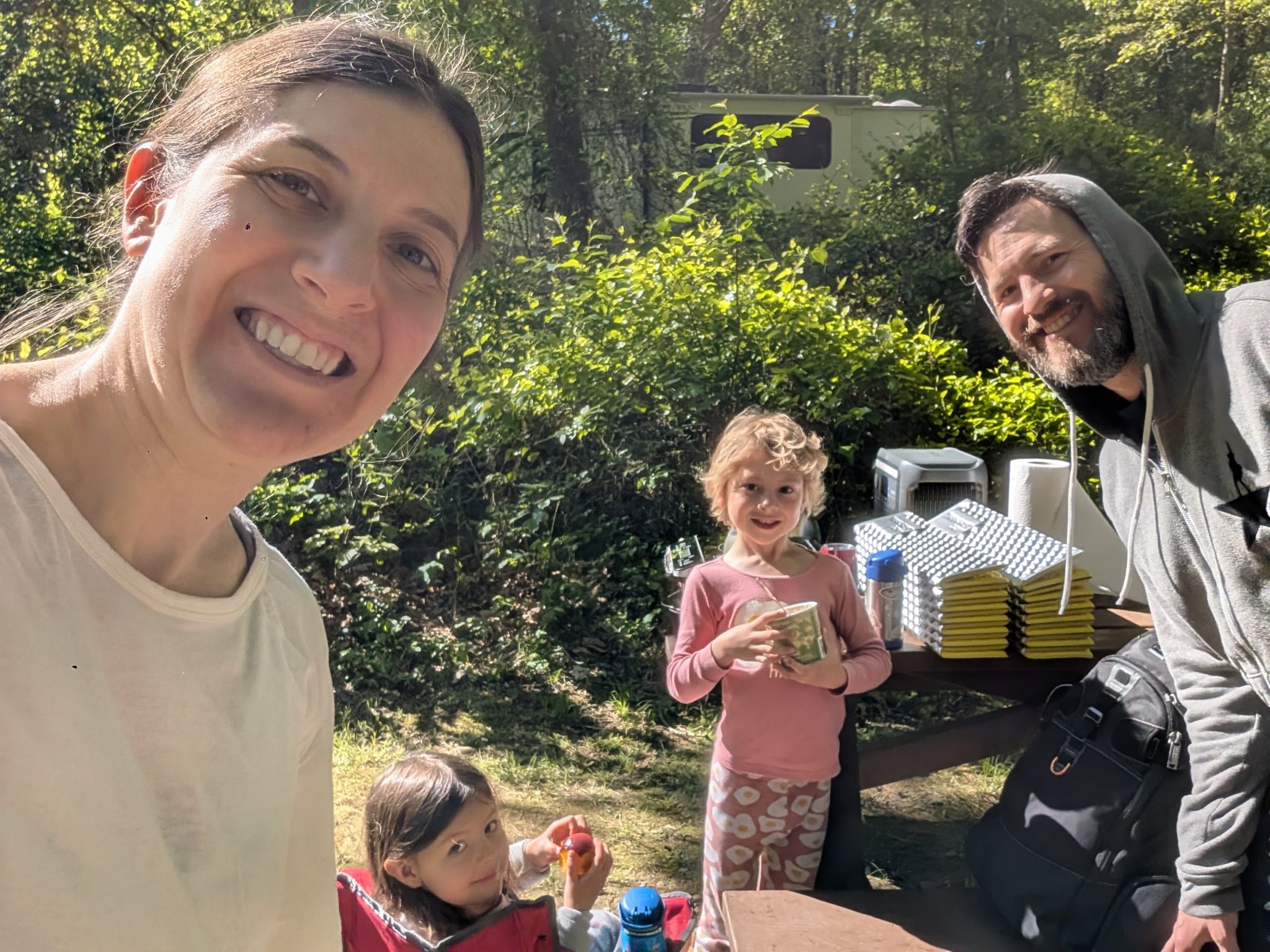 The Lady Beekeeper | A refined beekeeping experiment