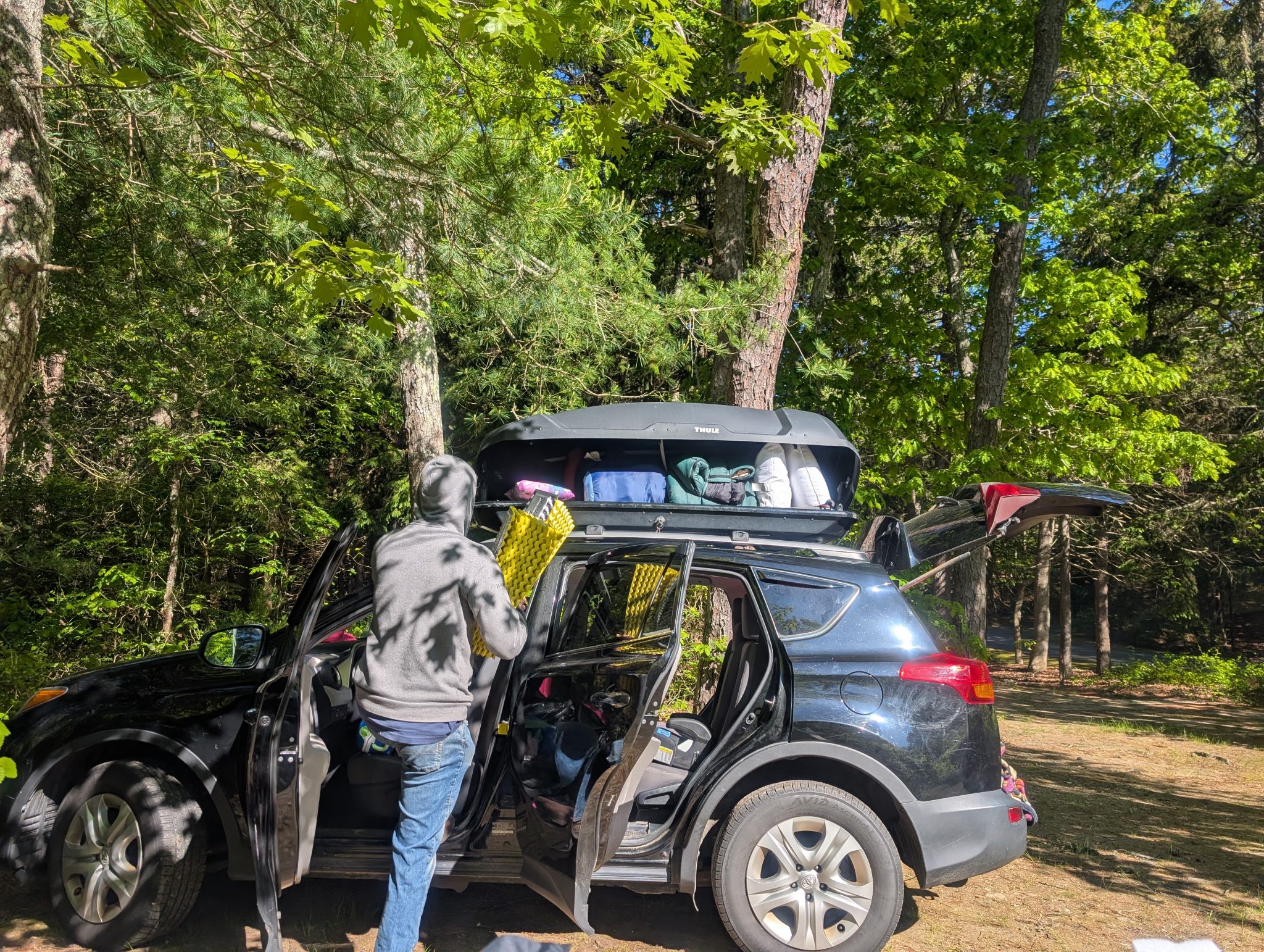 The Lady Beekeeper | A refined beekeeping experiment