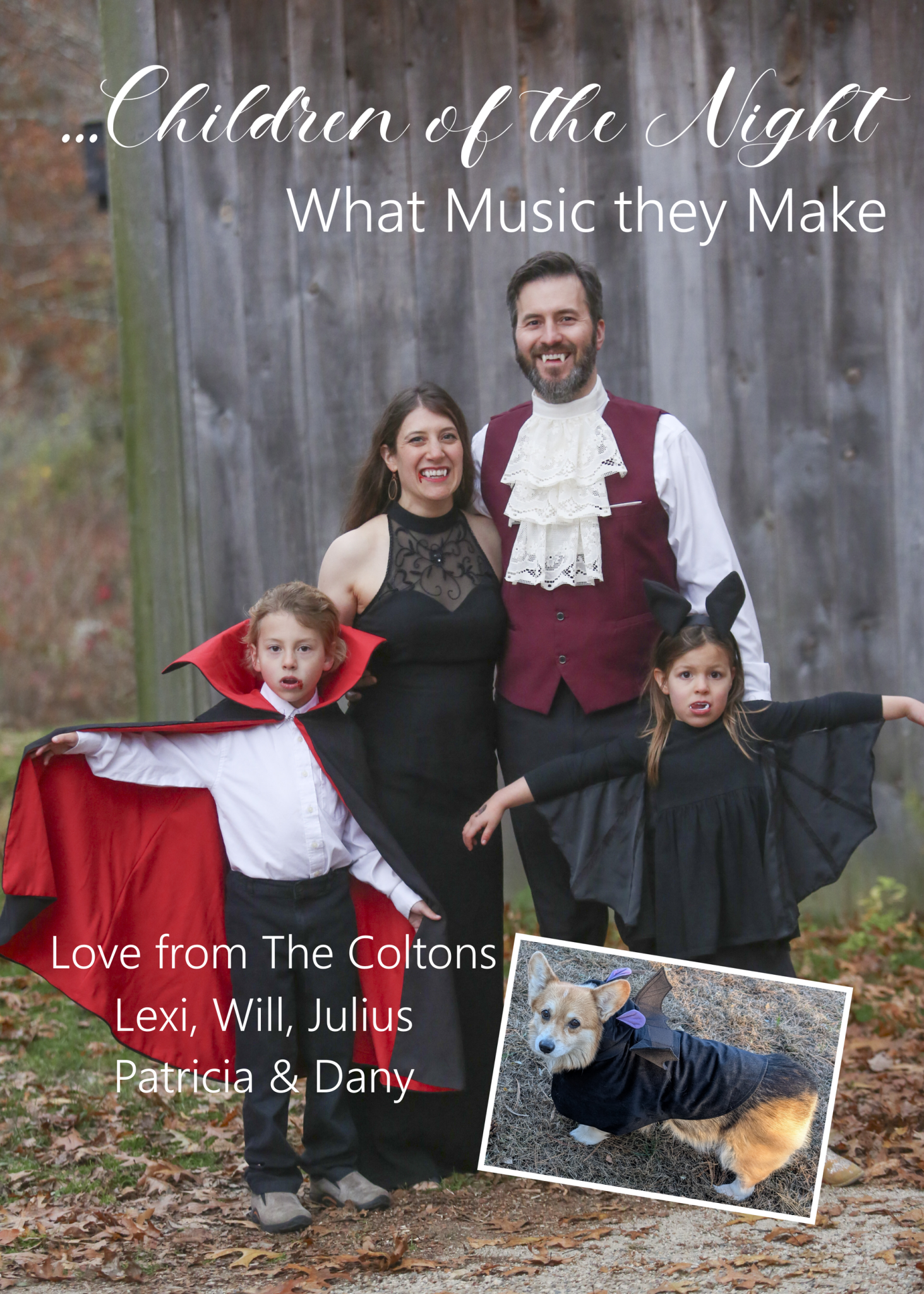 Happy Solstice 2025 | The Lady Beekeeper